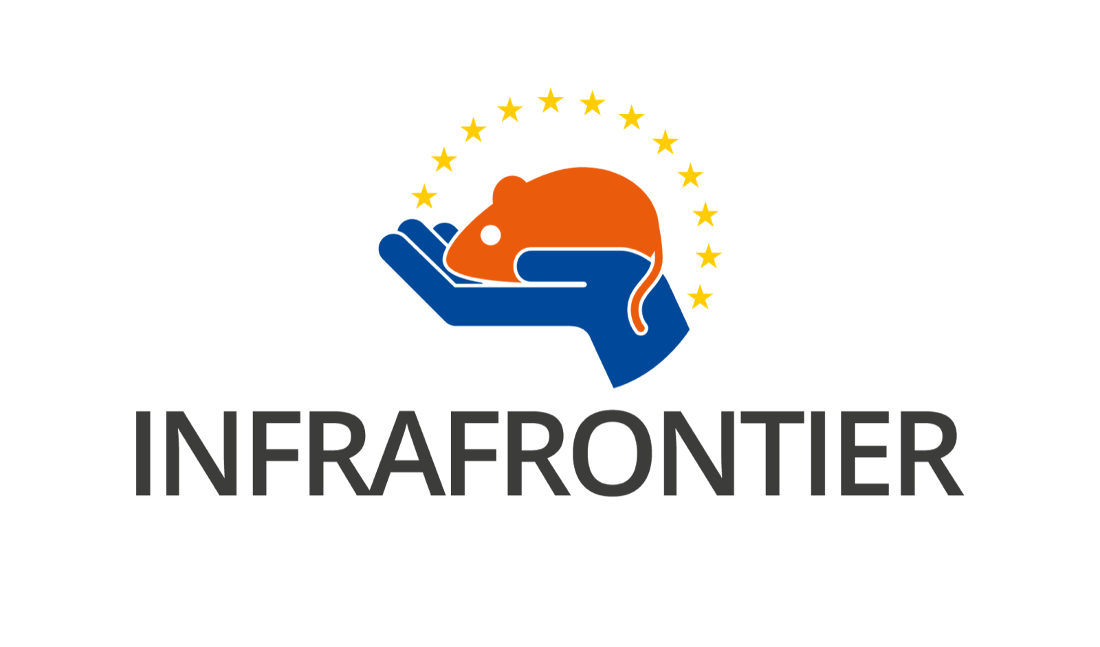 Infra Foch Logo
